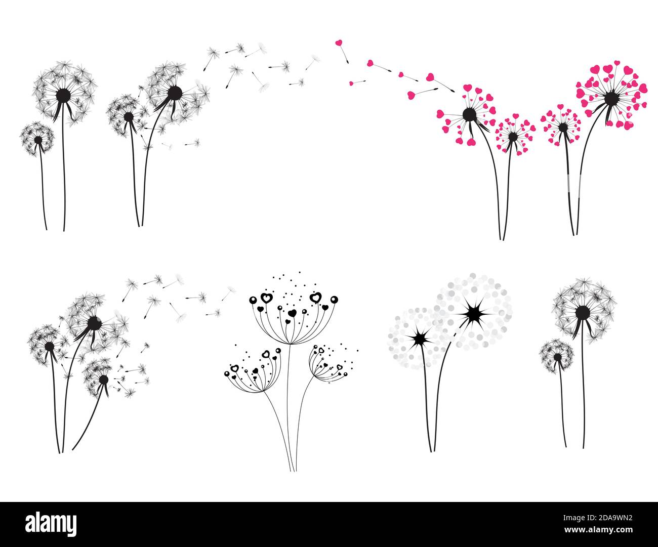 Abstract Dandelion Collection Set Illustration Stock Photo - Alamy