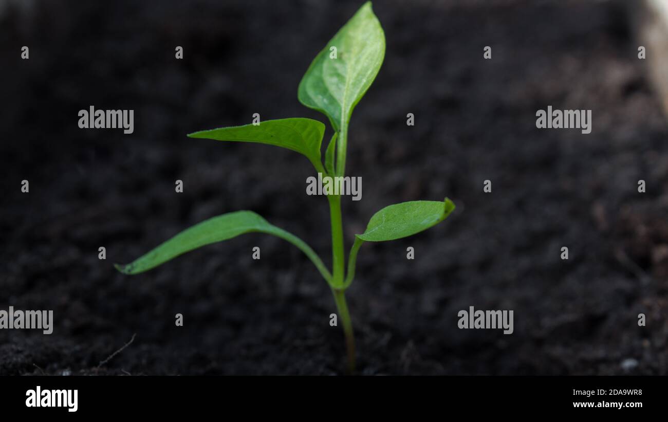 Land conservation protection hi-res stock photography and images - Alamy