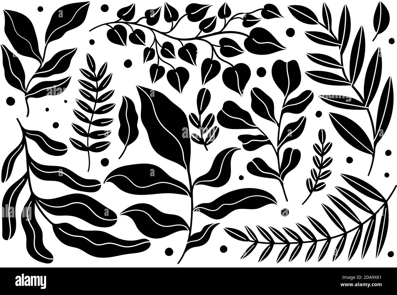 Abstract Nature Drawings