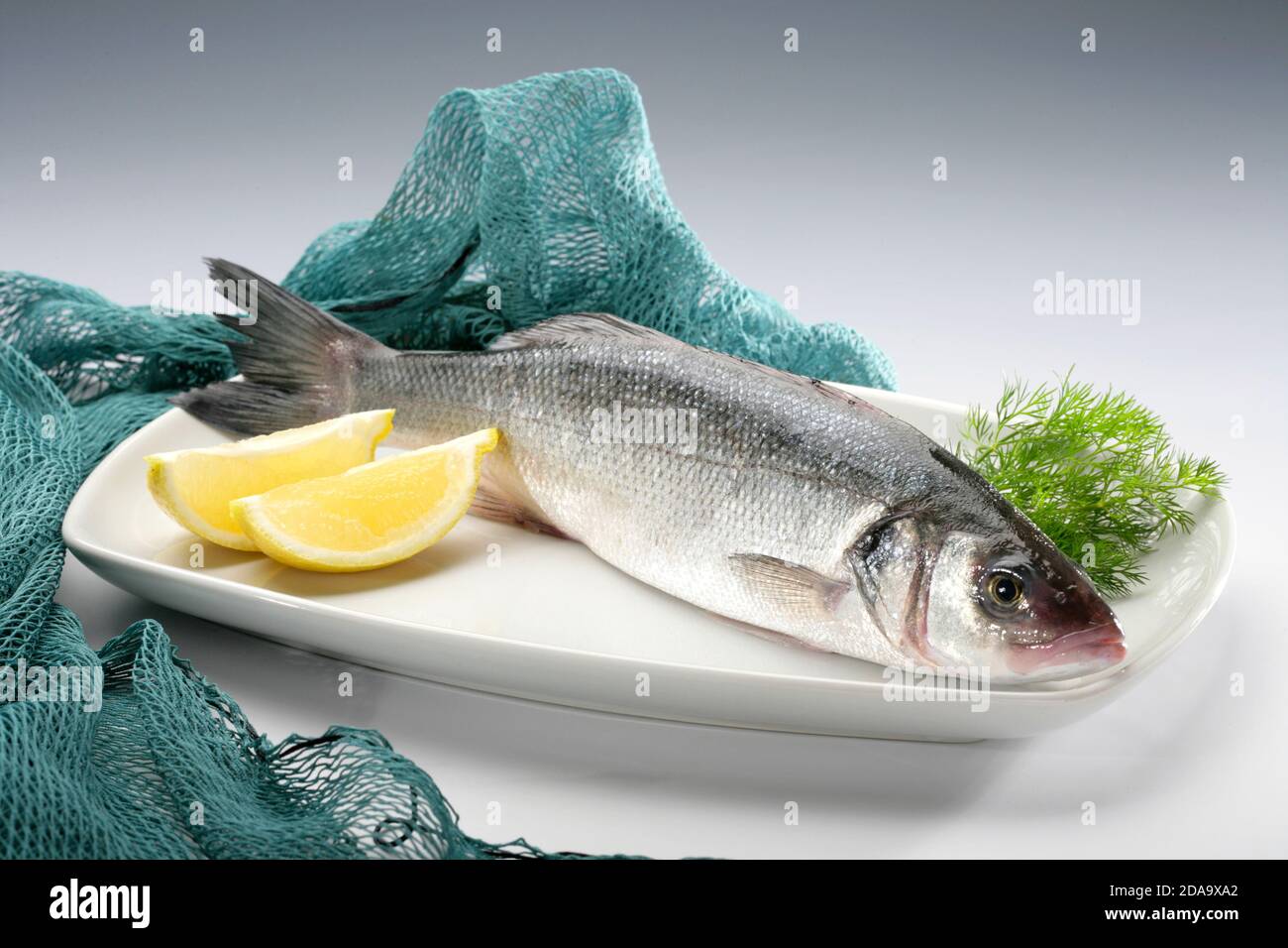 Codling hi-res stock photography and images - Alamy