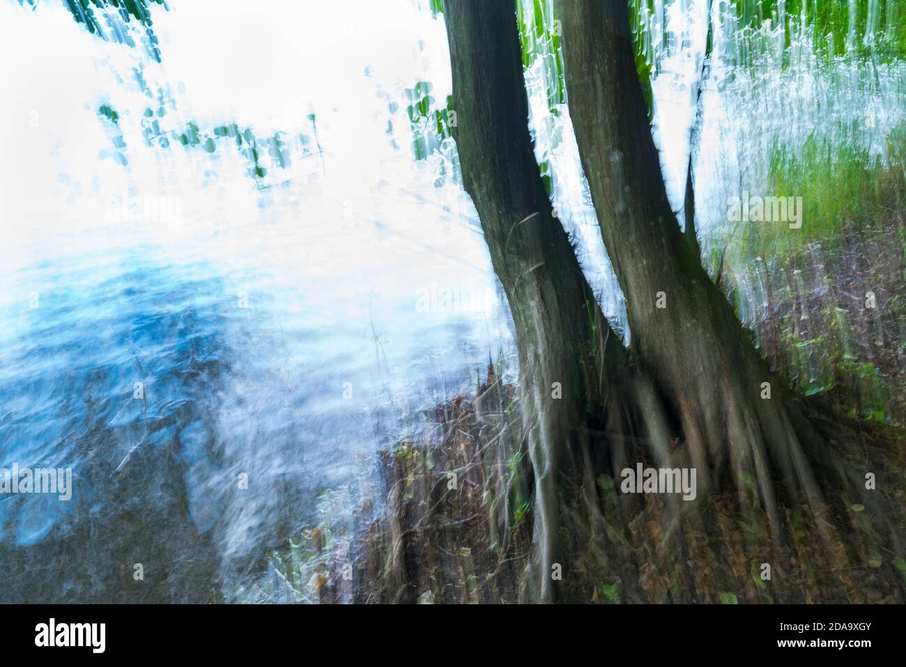Volcanic Lake, Maar, Vulkaneifel Nature Park and Geopark, Western Eifel ...