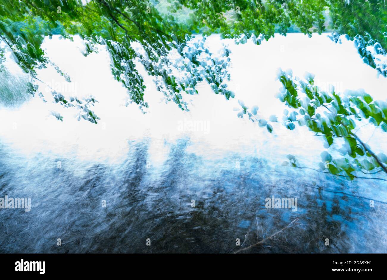 Volcanic Lake, Maar, Vulkaneifel Nature Park and Geopark, Western Eifel ...