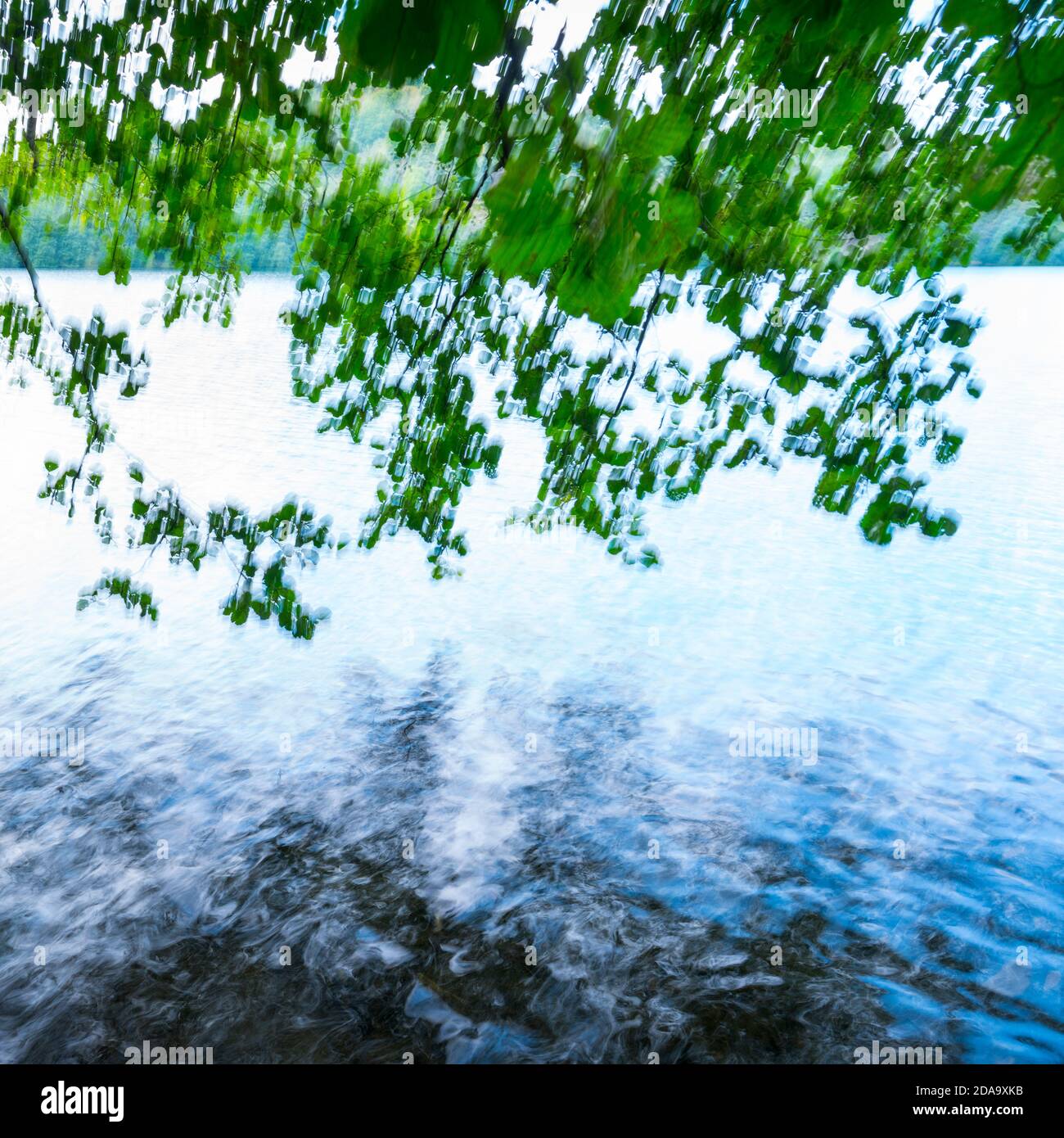Volcanic Lake, Maar, Vulkaneifel Nature Park and Geopark, Western Eifel ...