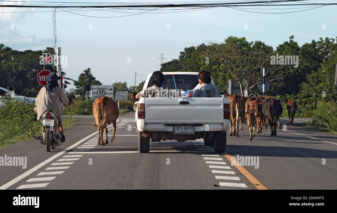 Slowly walking on country road hi-res stock photography and images - Alamy