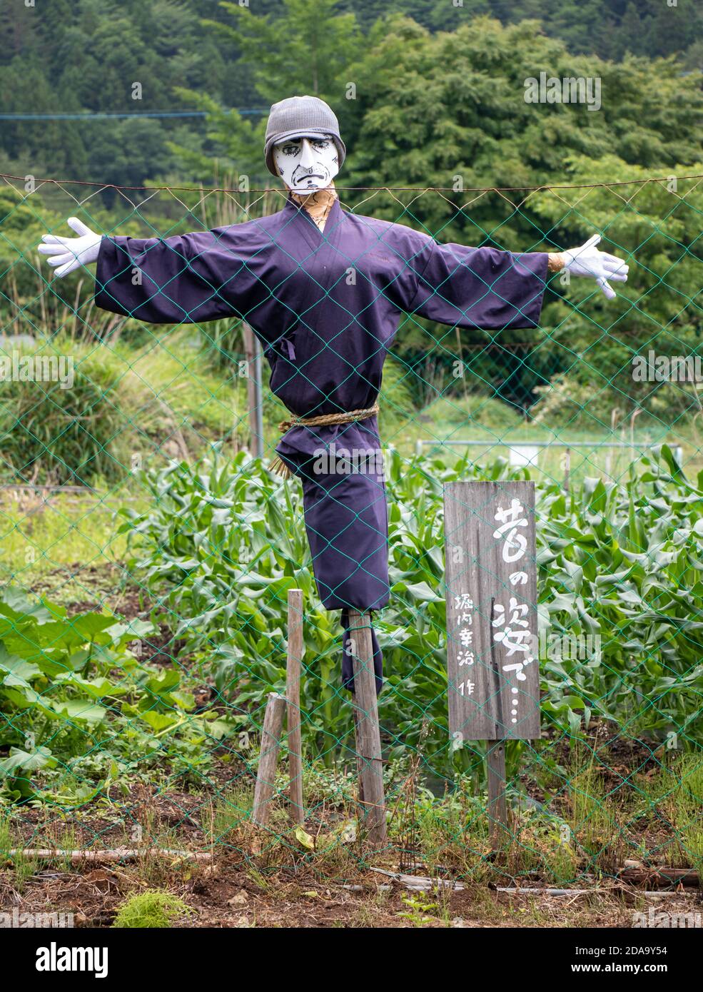 A figurine in the field looking over fence to camera. Scarecrow with ...