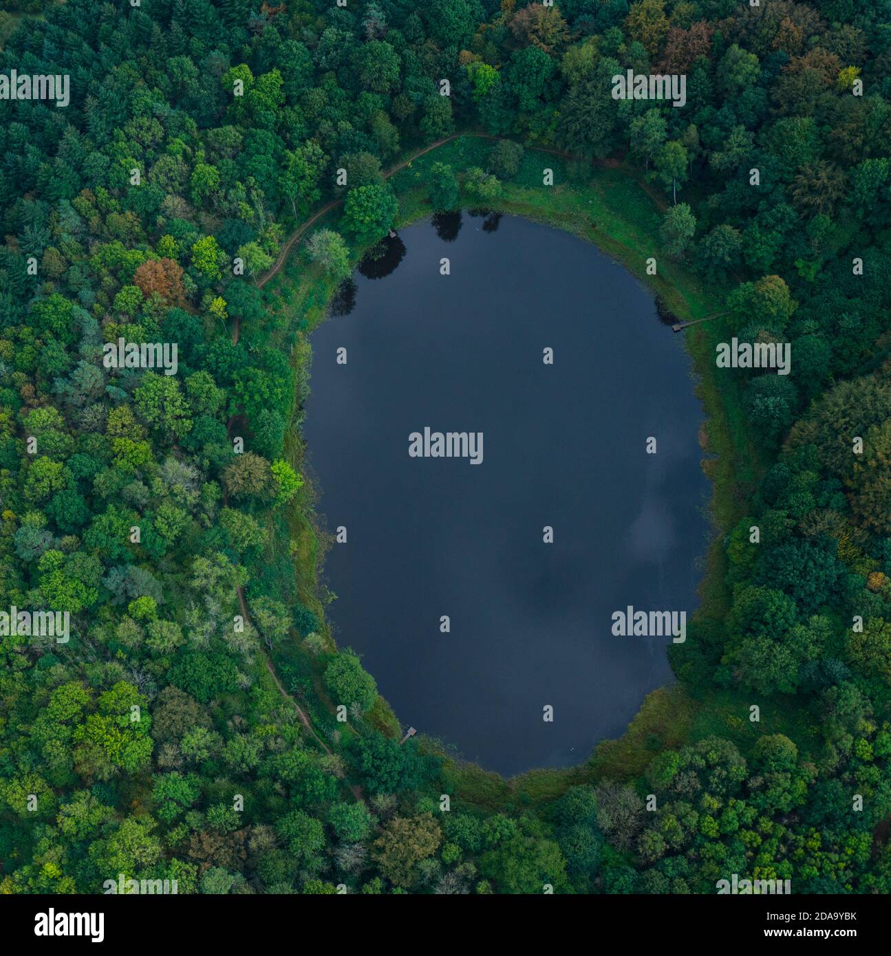 Volcanic Lake, Maar, Vulkaneifel Nature Park and Geopark, Western Eifel ...