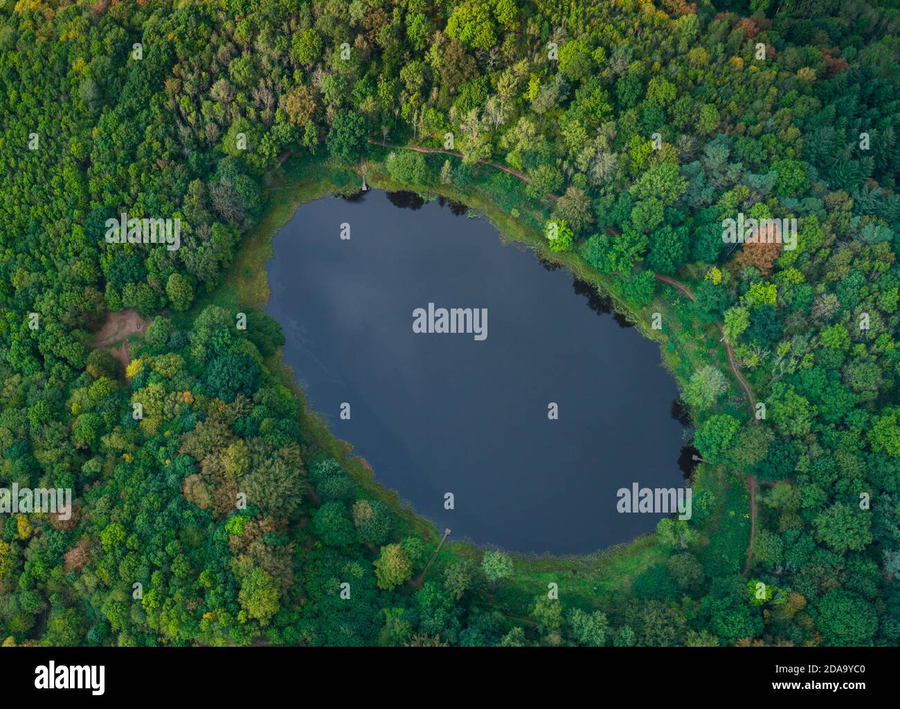 Volcanic Lake, Maar, Vulkaneifel Nature Park and Geopark, Western Eifel ...