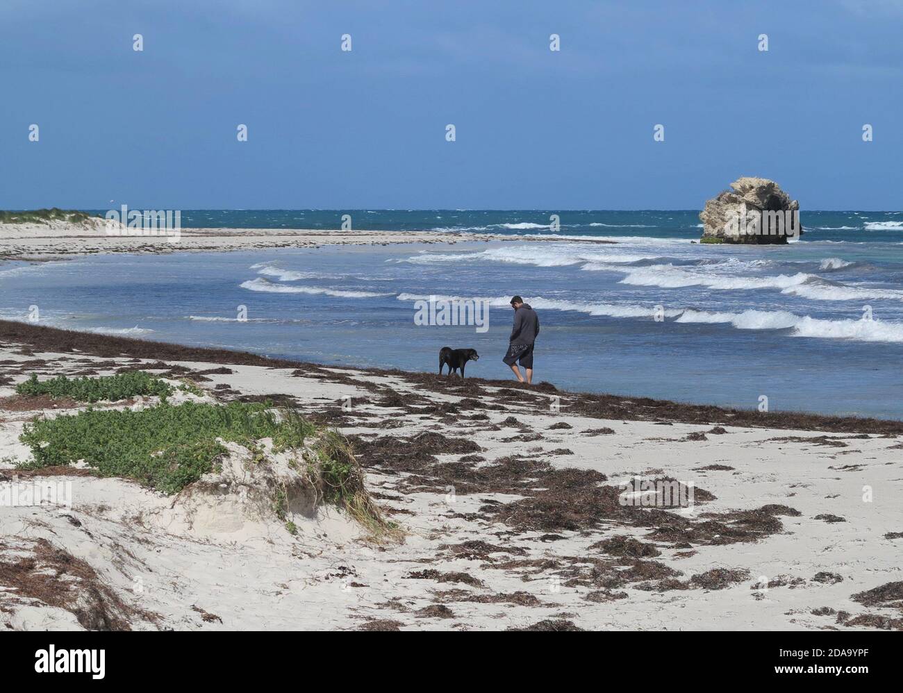 Perth dog beach hi-res stock photography and images - Alamy
