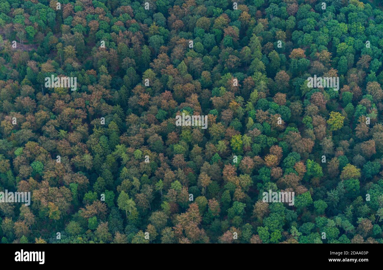 Vulkaneifel Nature Park and Geopark, Western Eifel Territory, Eifel ...