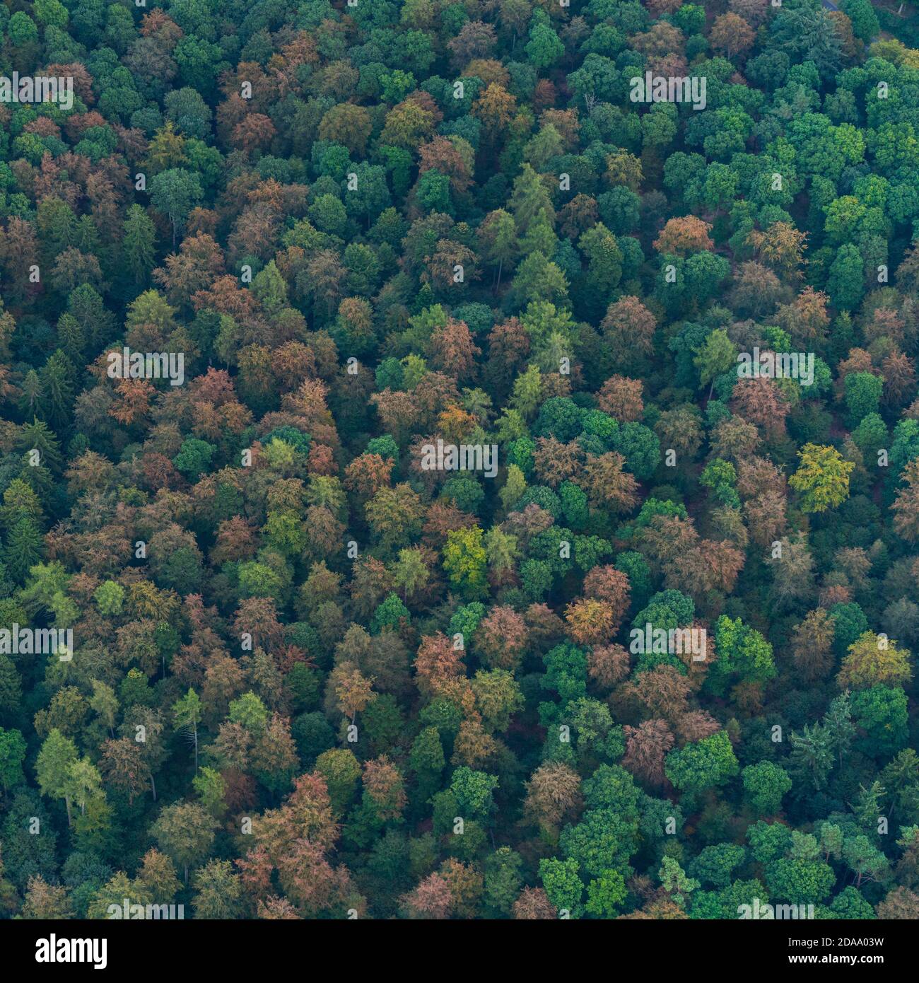 Vulkaneifel Nature Park and Geopark, Western Eifel Territory, Eifel ...