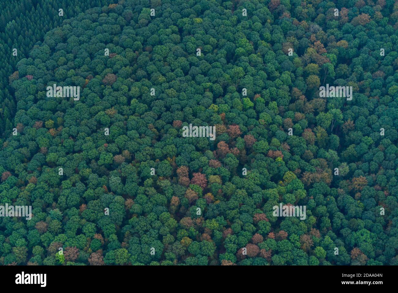 Vulkaneifel Nature Park and Geopark, Western Eifel Territory, Eifel ...