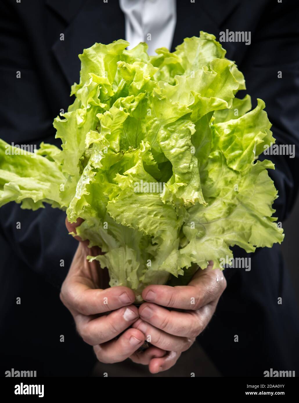 Healthy food. Man holding and eating lettuce Stock Photo - Alamy