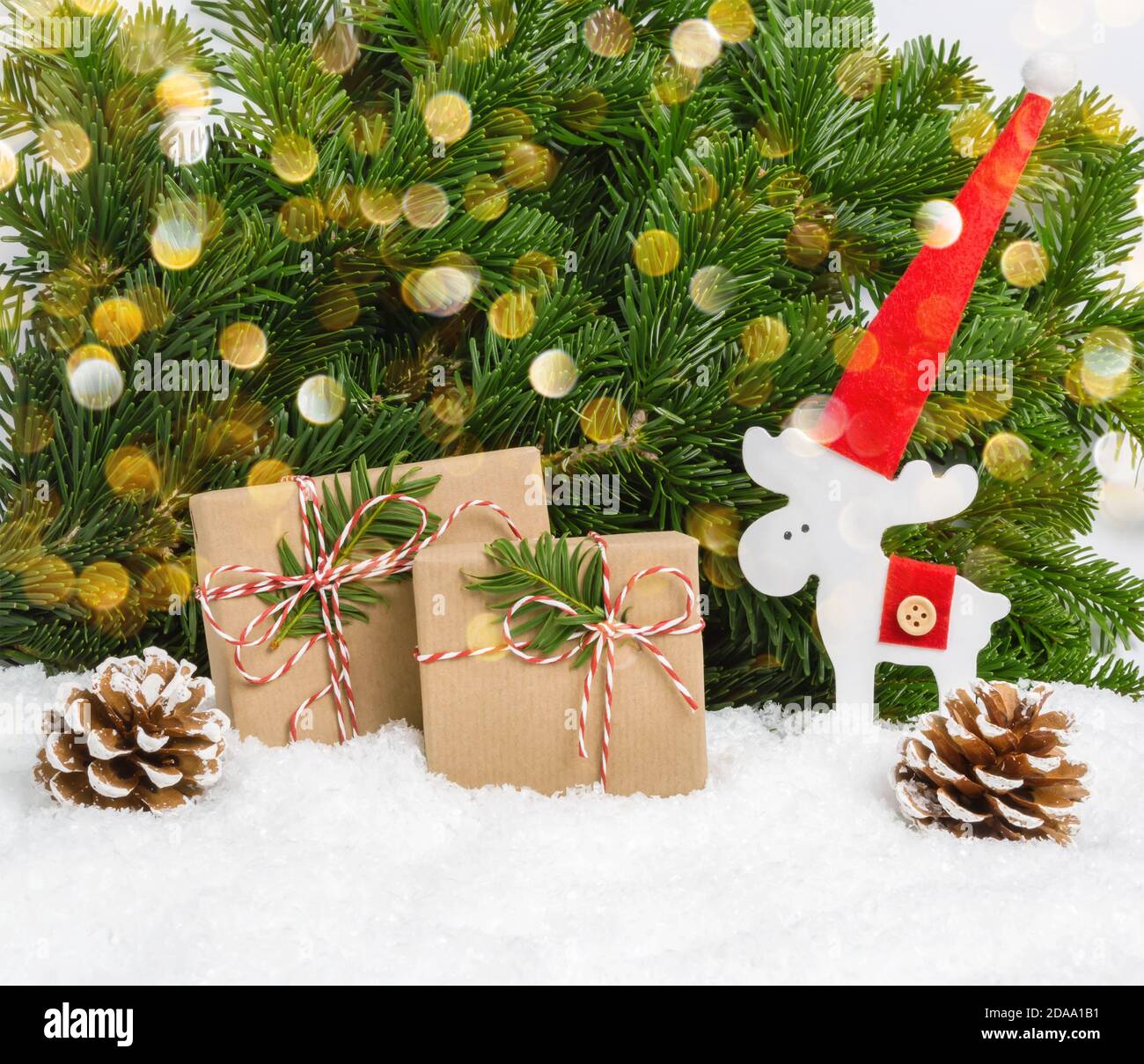 Cedar Hat High Resolution Stock Photography and Images - Alamy