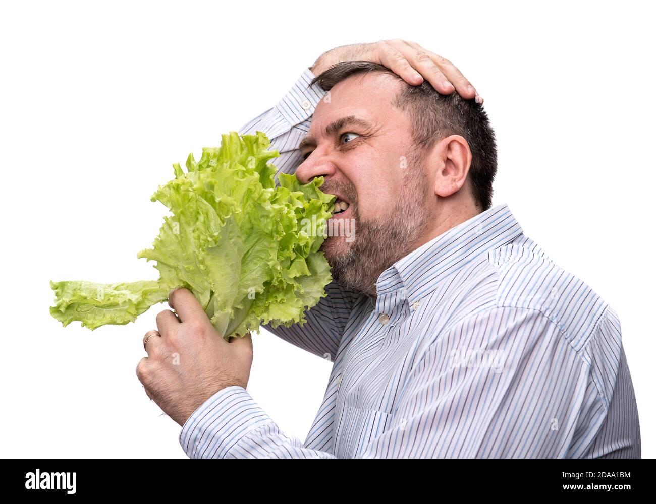 Healthy food. Man holding lettuce isolated on white Stock Photo - Alamy