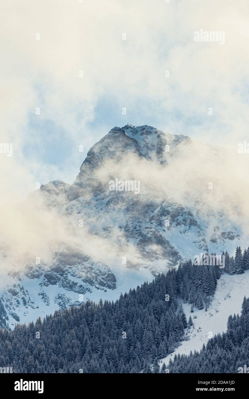 French Alps mountain view with pine trees Stock Photo - Alamy