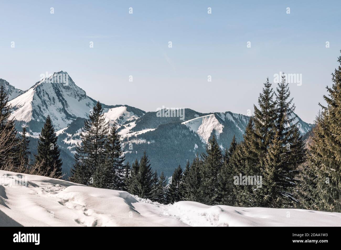 French Alps mountain view with pine trees Stock Photo - Alamy
