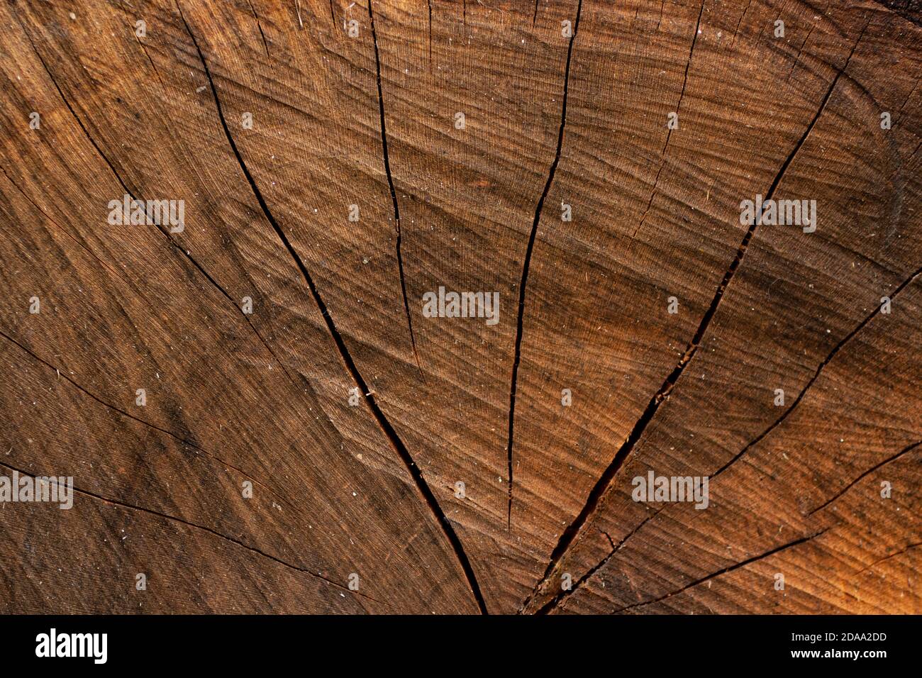 Closeup shot of an old wood texture - perfect for background Stock ...