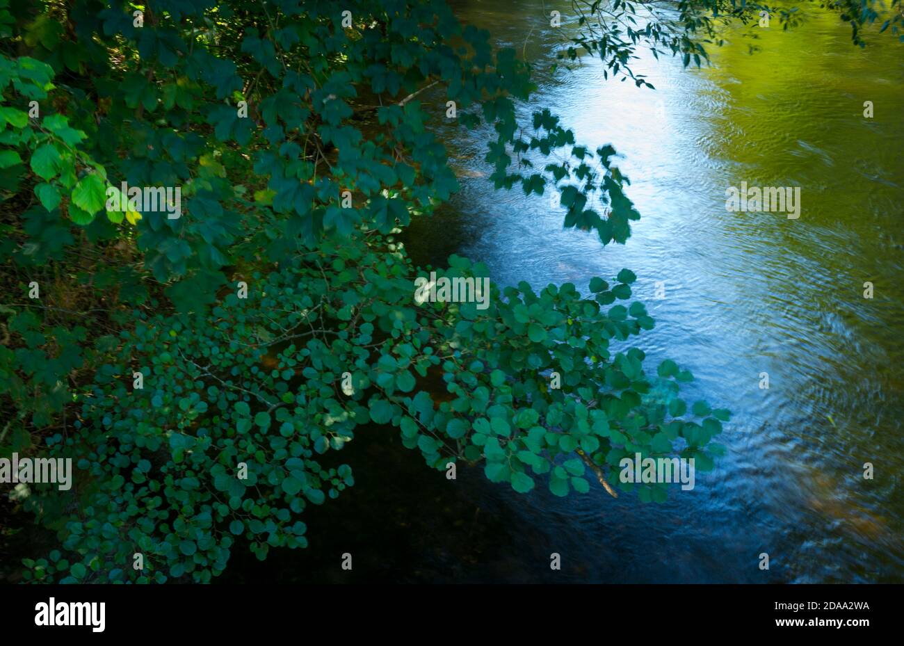 Rur River, North Eifel Territory, Eifel Region, Germany, Europe Stock ...