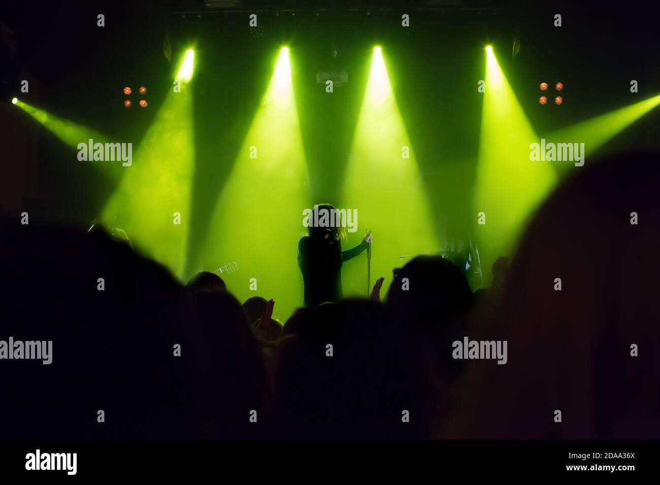 dancing audience at concert at nightclub Stock Photo - Alamy