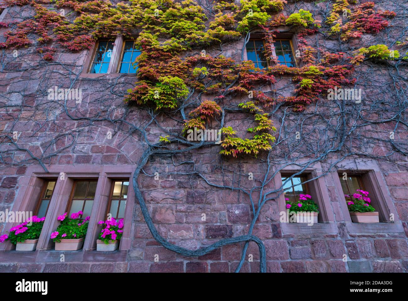Nideggen Village, North Eifel Territory, Eifel Region, Germany, Europe ...