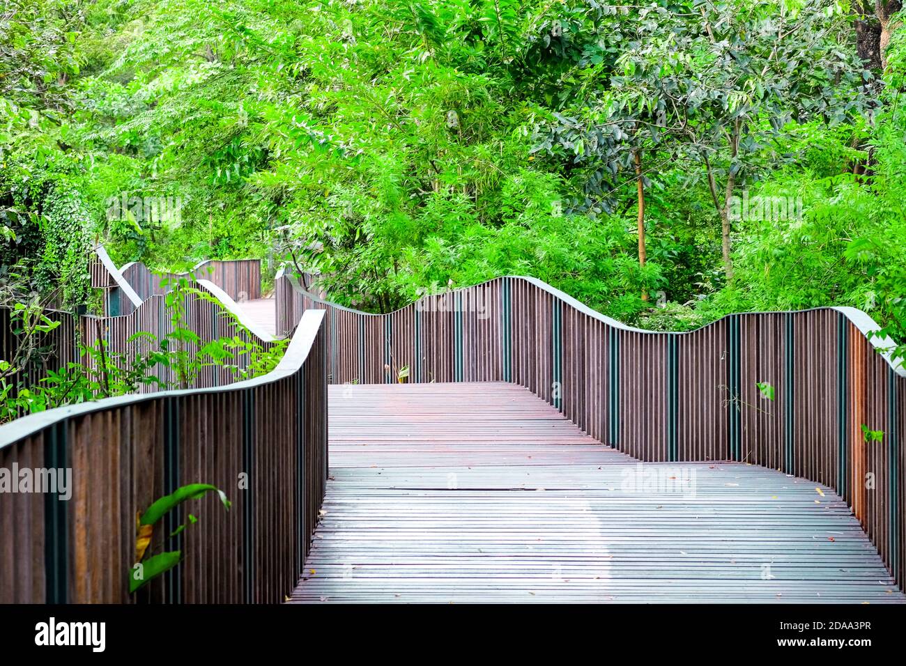 Shadiness of the Bird Wave Bridge, A wave-like wooden bridge, Bangkok ...