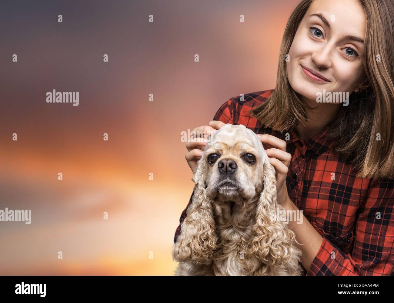 Young american cocker spaniel and beautiful woman on soft sunset sky ...
