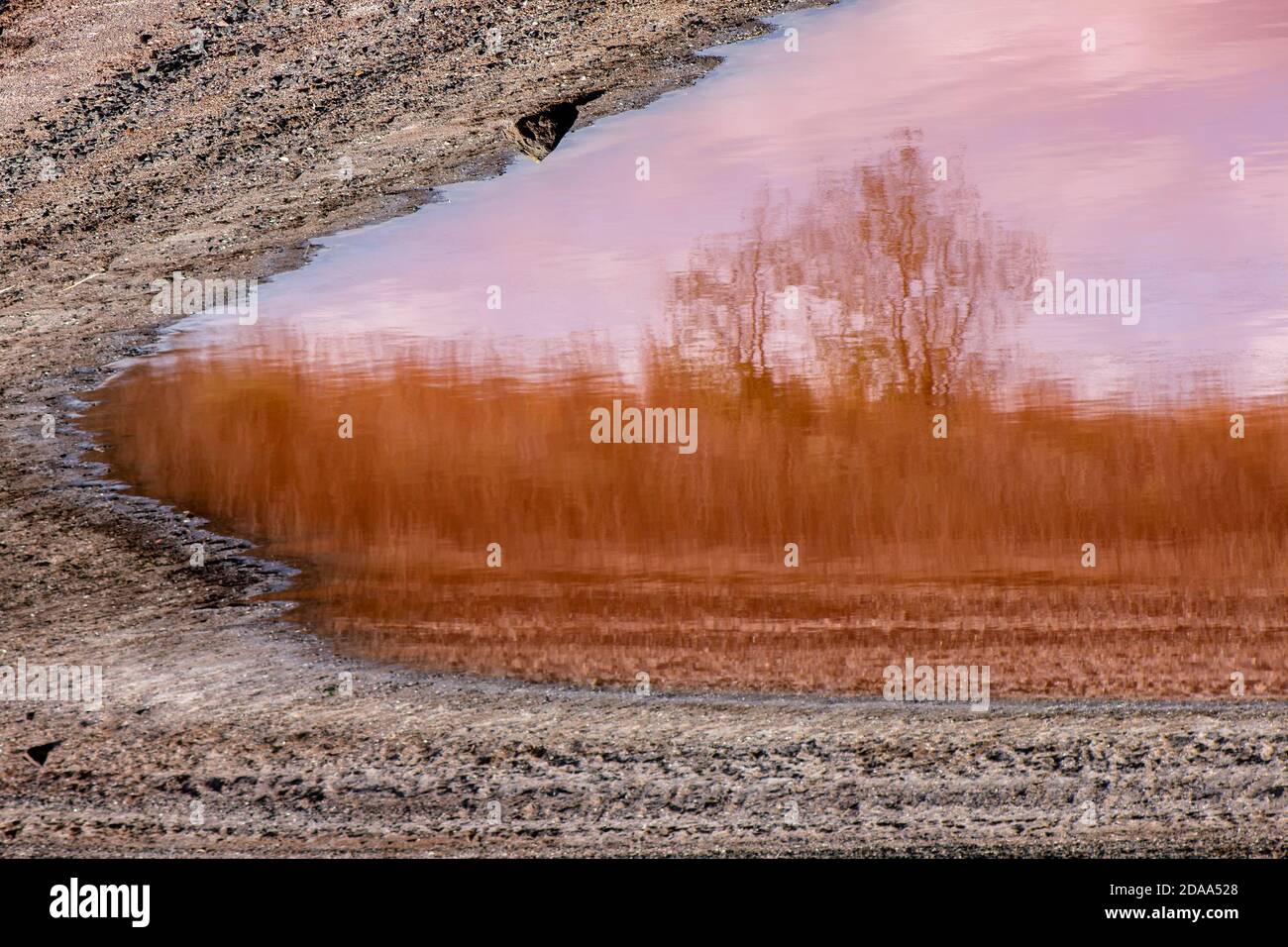 Inverted reflection in a pink saltwater lake Stock Photo - Alamy