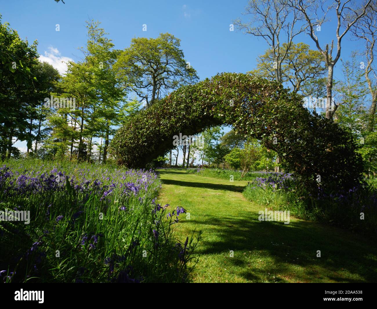 Cornish gardens hi-res stock photography and images - Alamy