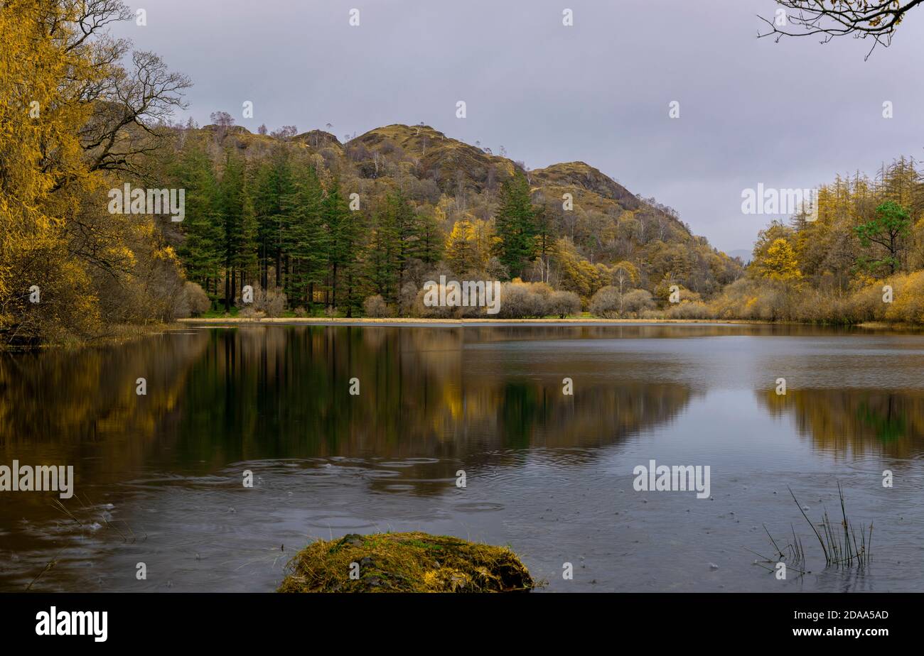 Yew Tree Tarn Lake District High Resolution Stock Photography and ...