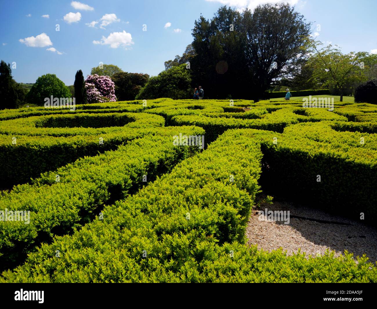 Gardens maze hi-res stock photography and images - Alamy