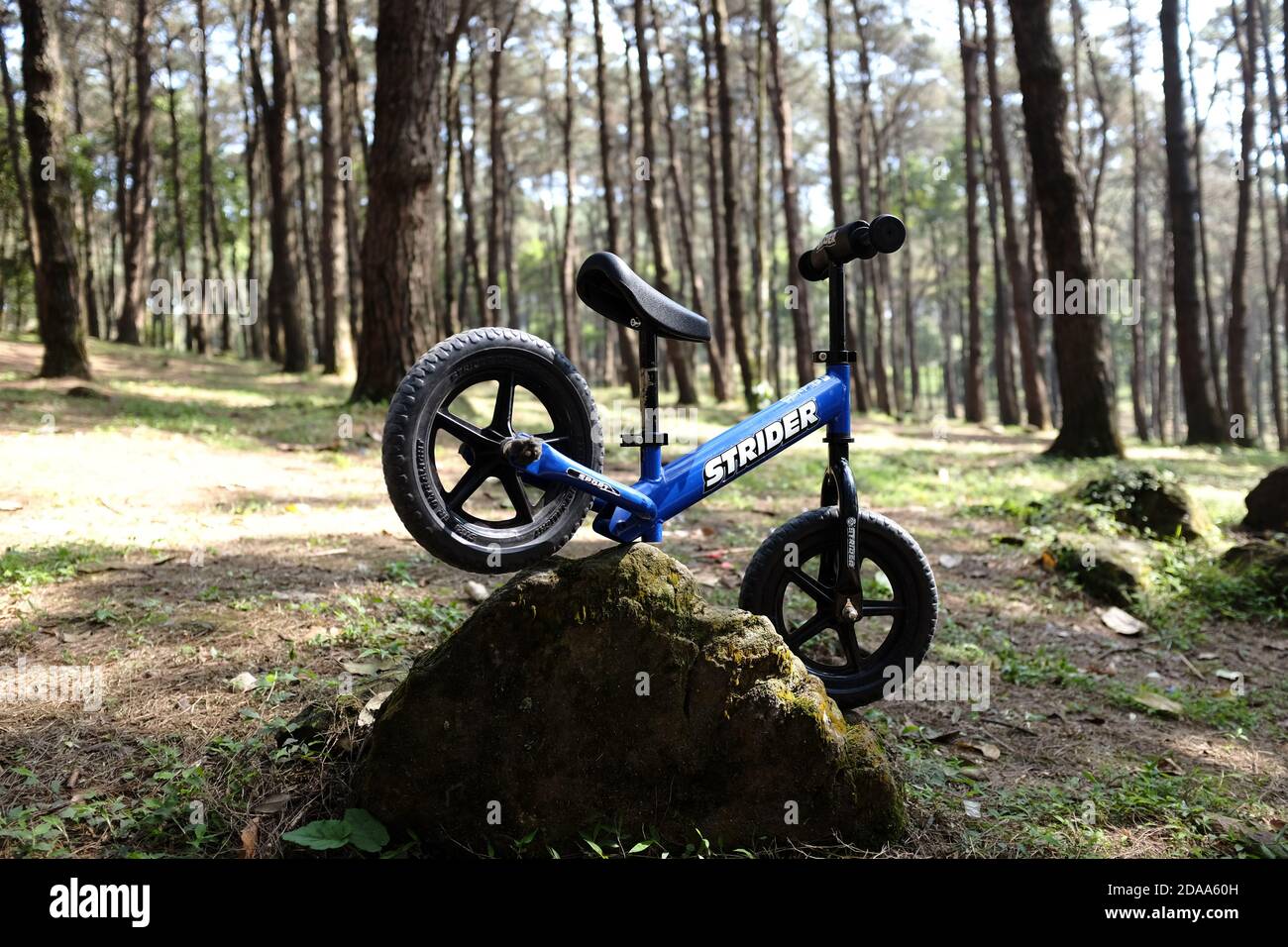 On the summit Stock Photo - Alamy