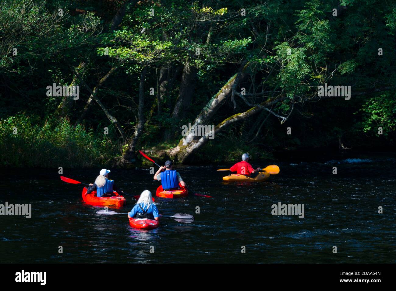 Kayaking, Rur River, North Eifel Territory, Eifel Region, Germany ...