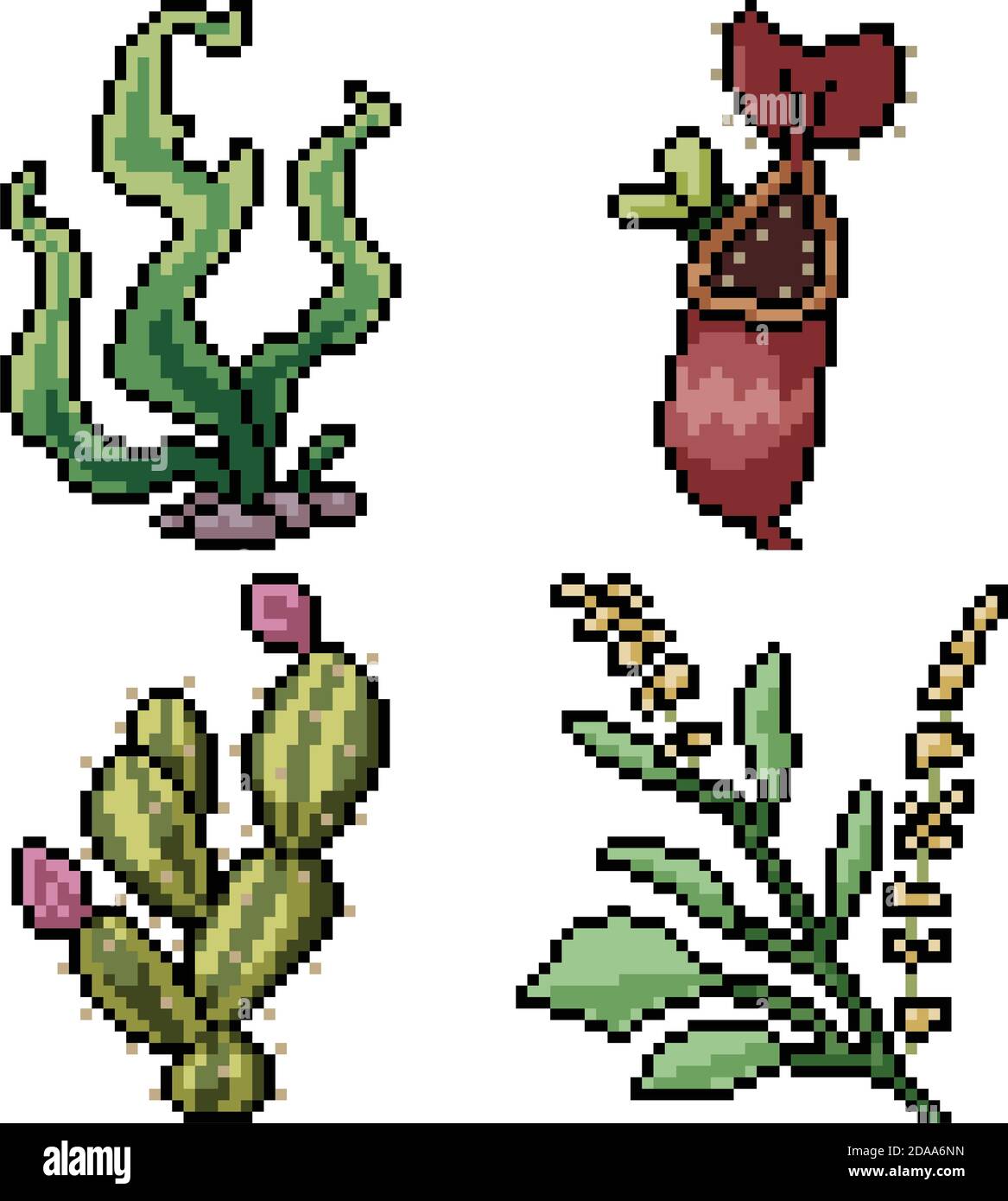 Very strange cactus Stock Vector Images - Alamy