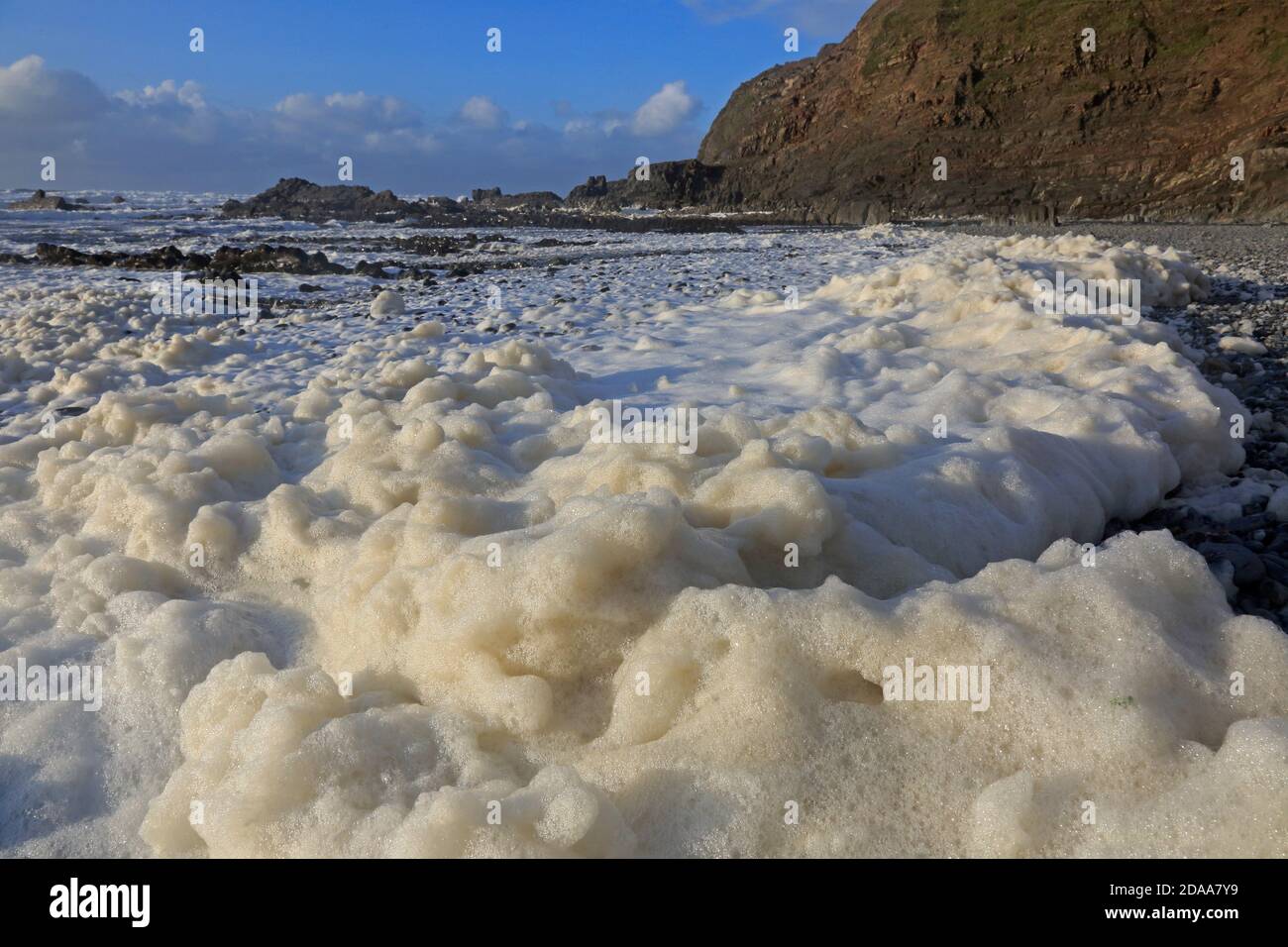 Sea Spume on the beach at Welcombe Mouth during a storm in Cornwall ...