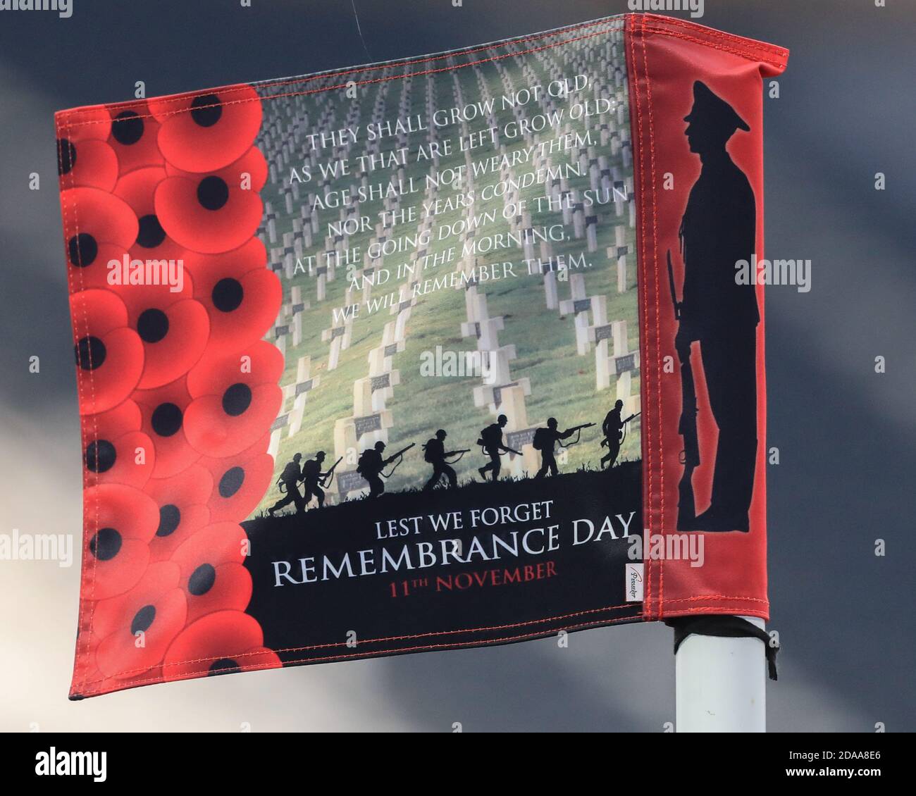 Remembrance Day Poppy flags are on display at Pride Park Stock Photo ...