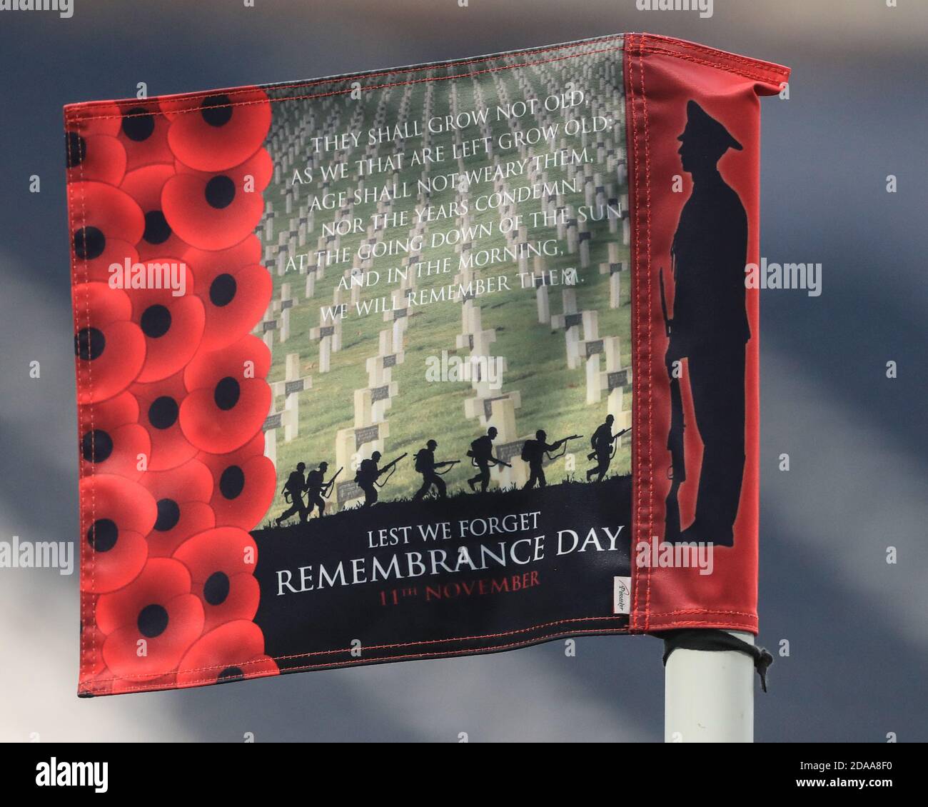 Remembrance Day Poppy flags are on display at Pride Park Stock Photo ...