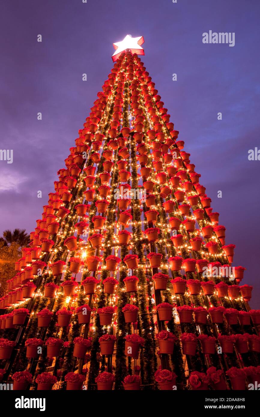 Christmas tree with lights in the Plaza of Arequipa, Peru Stock Photo ...