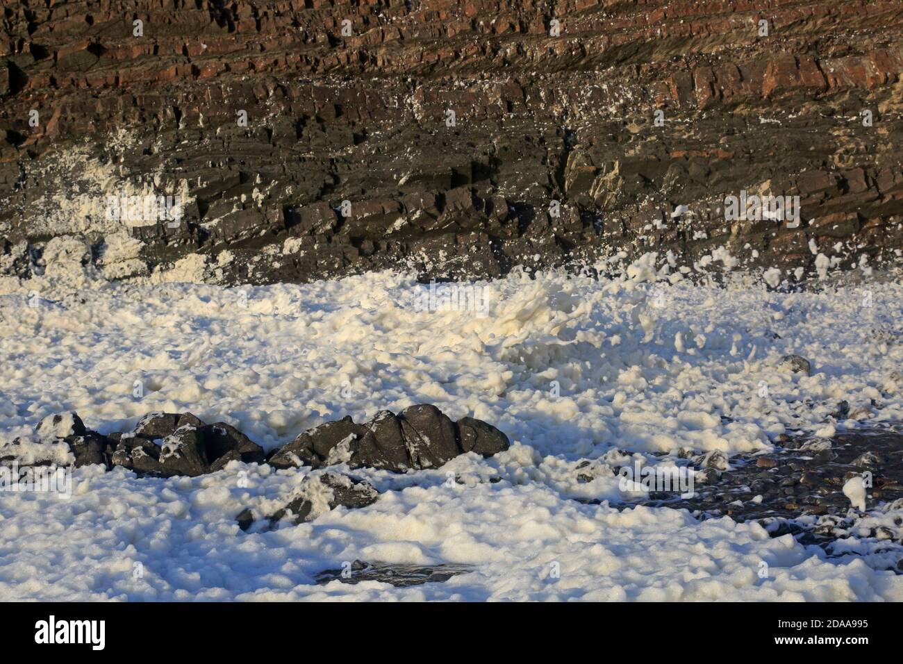 Sea Spume being blown onto the rocks at Welcombe Mouth during a storm ...