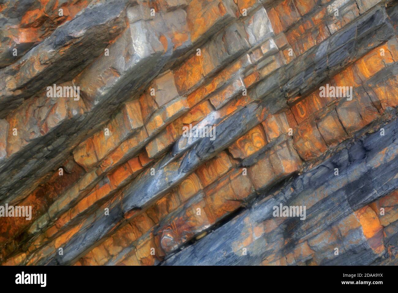 Views of the orange coloured sedimentary rocks at Welcombe Mouth ...