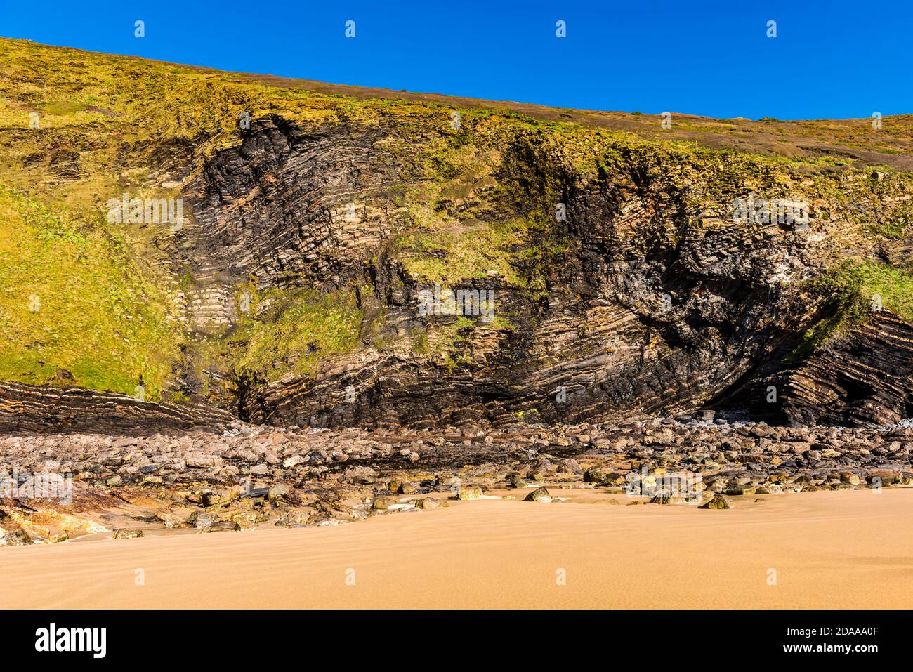 Folded rock formations in the cliffs at Crackington Haven, Cornwall, UK ...