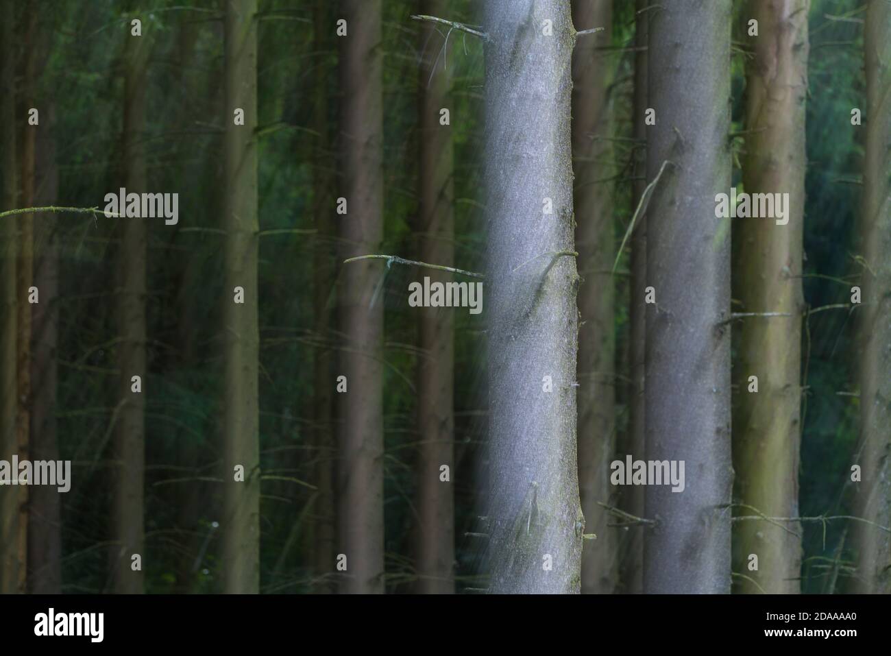 Eifel National Park High Resolution Stock Photography and Images - Alamy