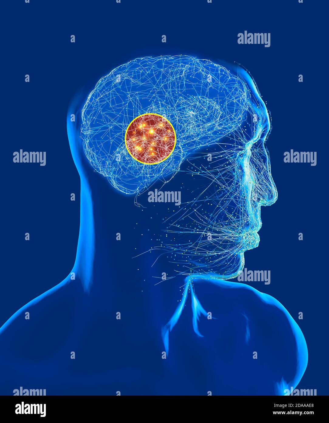 Neurology, philosophy: connections, the development of thought and ...