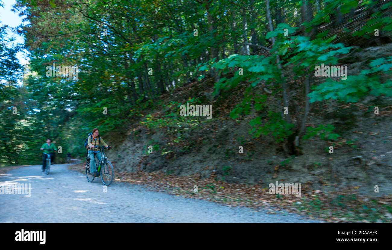 Electric Bike or pedelec Tour, Eifel National Park, North Eifel ...