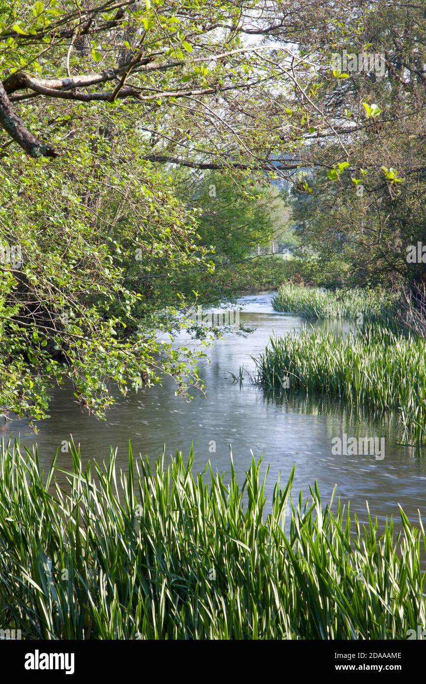 River nadder fishing hi-res stock photography and images - Alamy