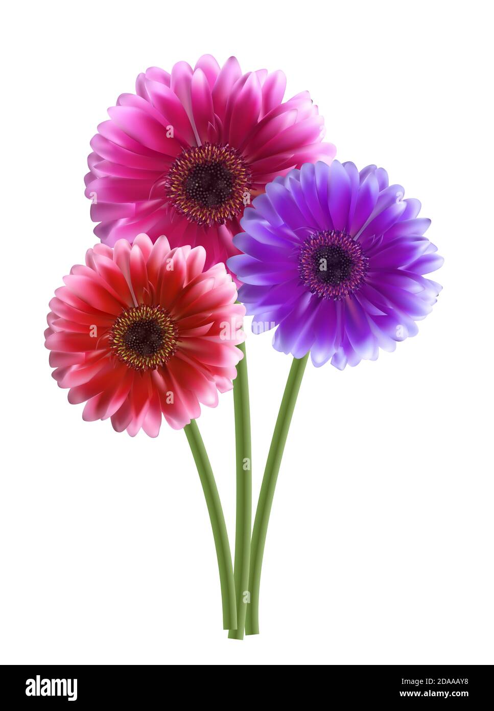 Gerbera Flower Background Illustration Stock Photo - Alamy