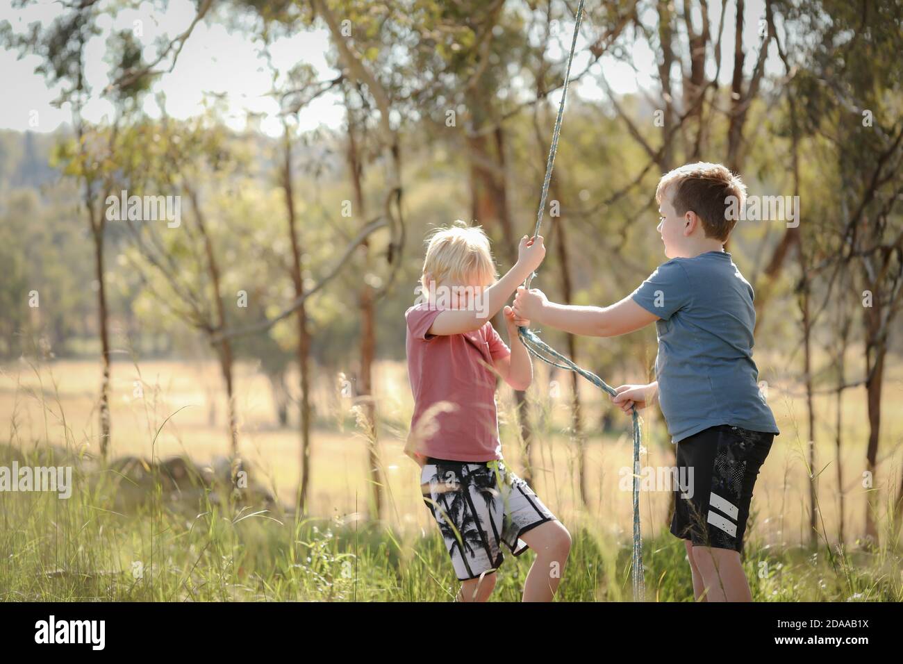 Two brothers playing on a rope swing in a beautiful bush location Stock ...