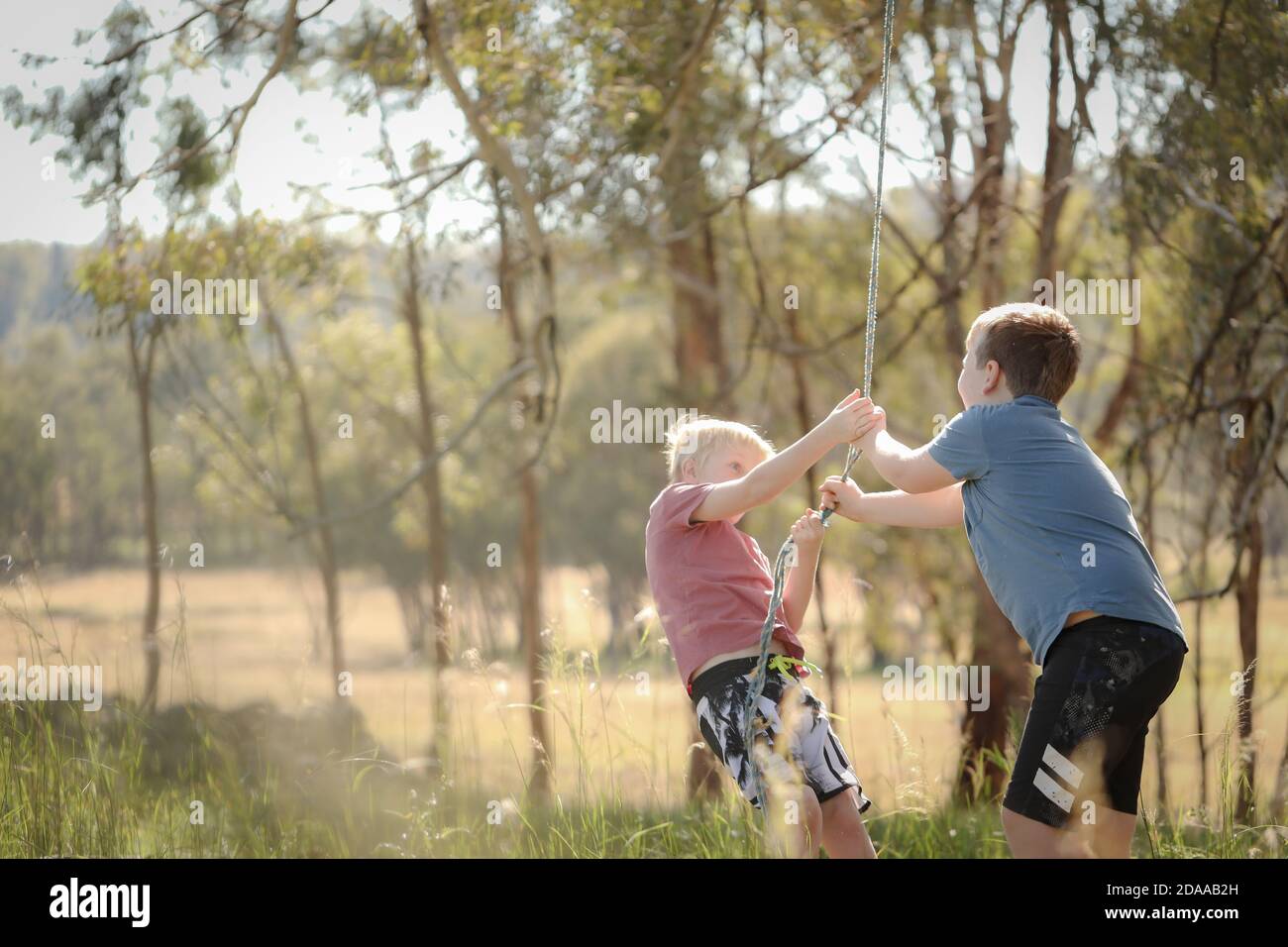 Two brothers playing on a rope swing in a beautiful bush location Stock ...