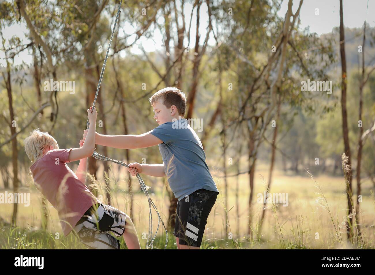 Two brothers playing on a rope swing in a beautiful bush location Stock ...