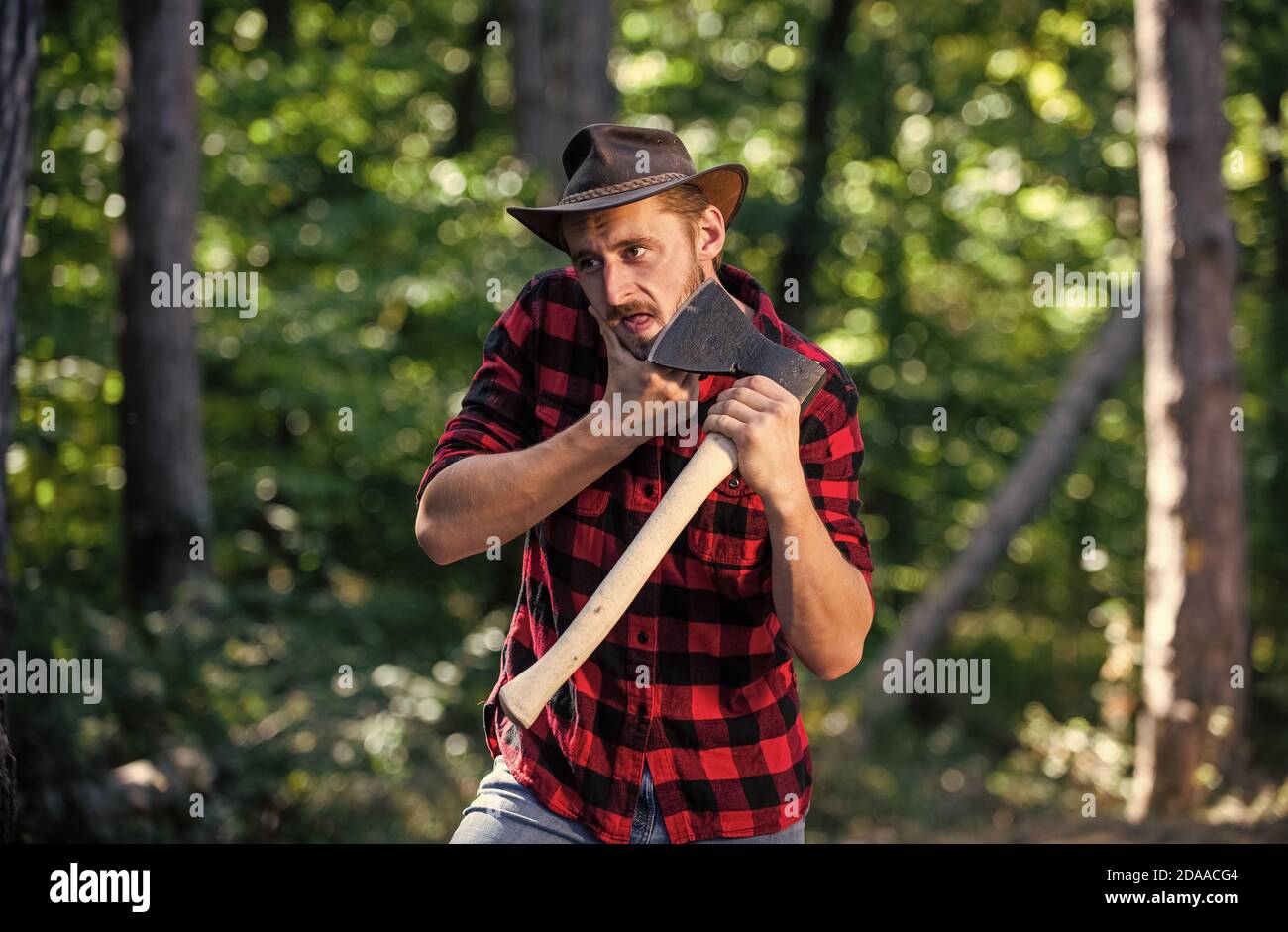 human and nature. man hiking in wood. poacher in forest. deforestation ...