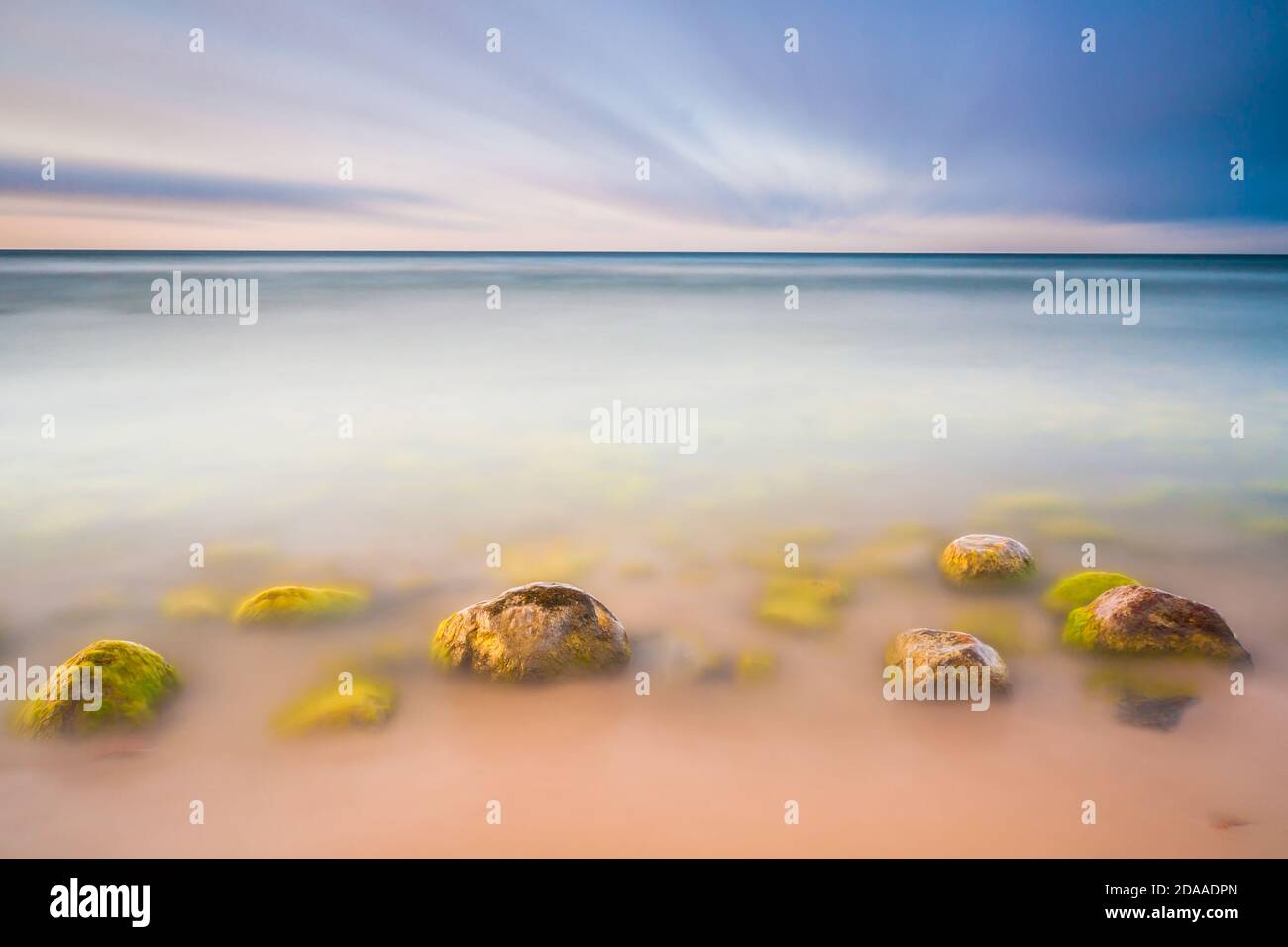 Baltic wilderness hi-res stock photography and images - Alamy